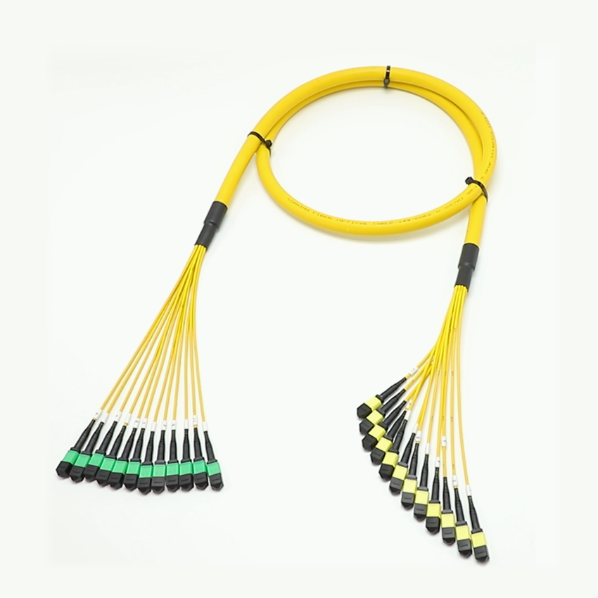 MPO APC to MPO APC Breakout Fiber Optic Patch Cord | TTI